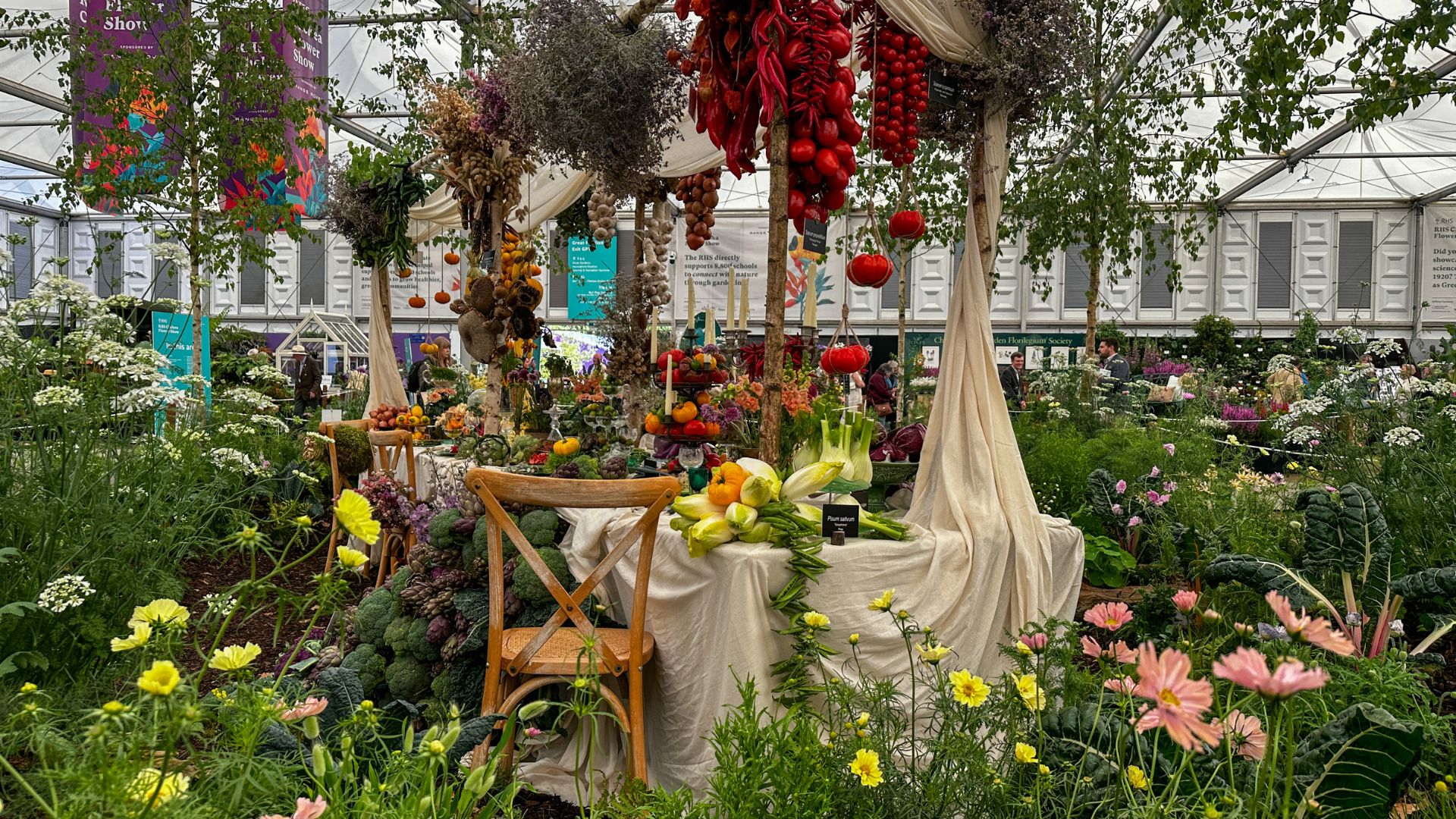 Chelsea Flower Show 2026 - Insiders visitor guide with tips