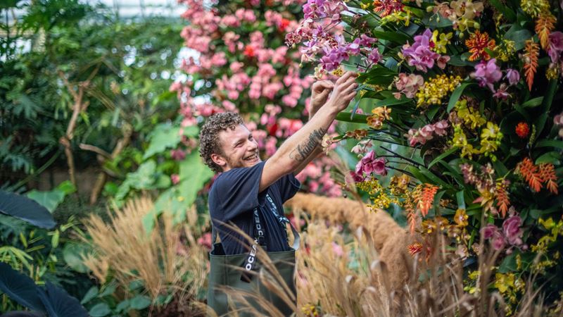 Kew Gardens Orchid Festival 2026