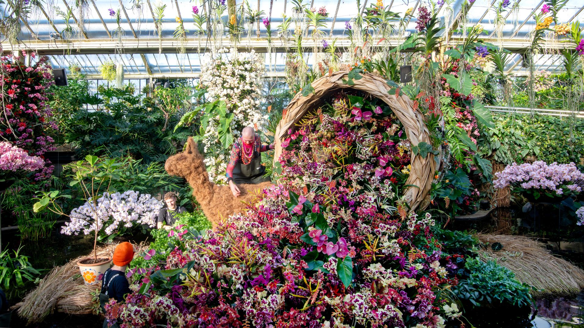 Kew Gardens Orchid Festival 2026