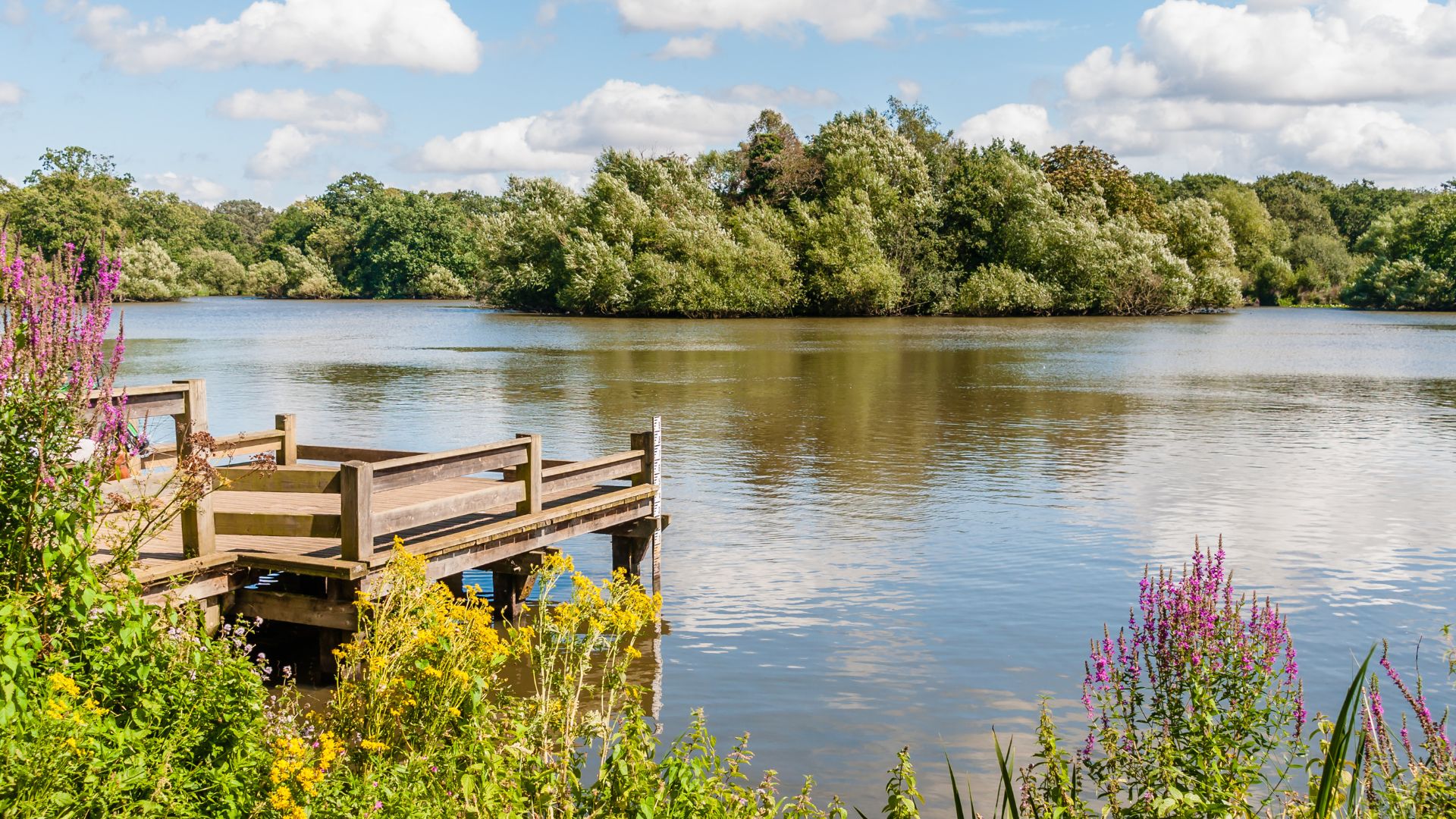15 best London lakes (and ponds) you should visit in 2025