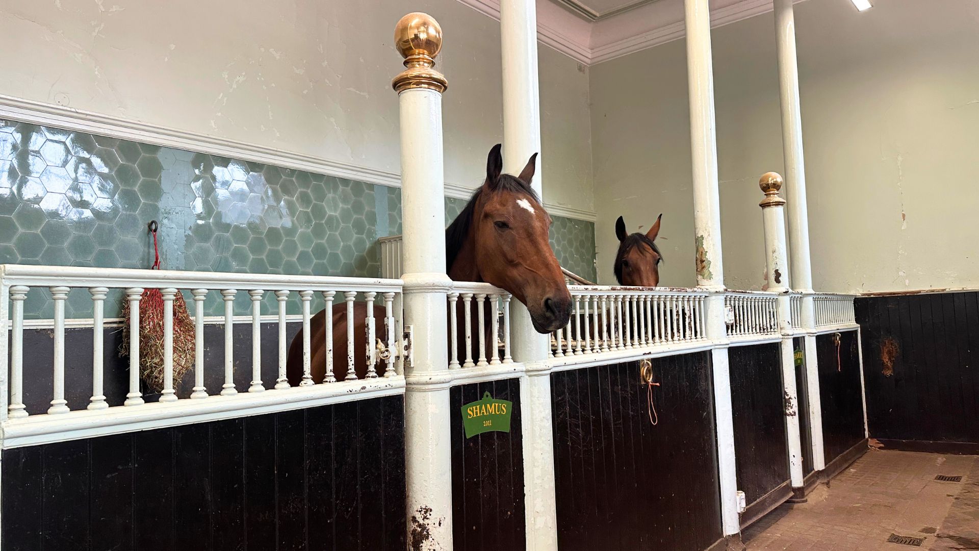 Royal Mews tour review: Buckingham Palace’s working stables
