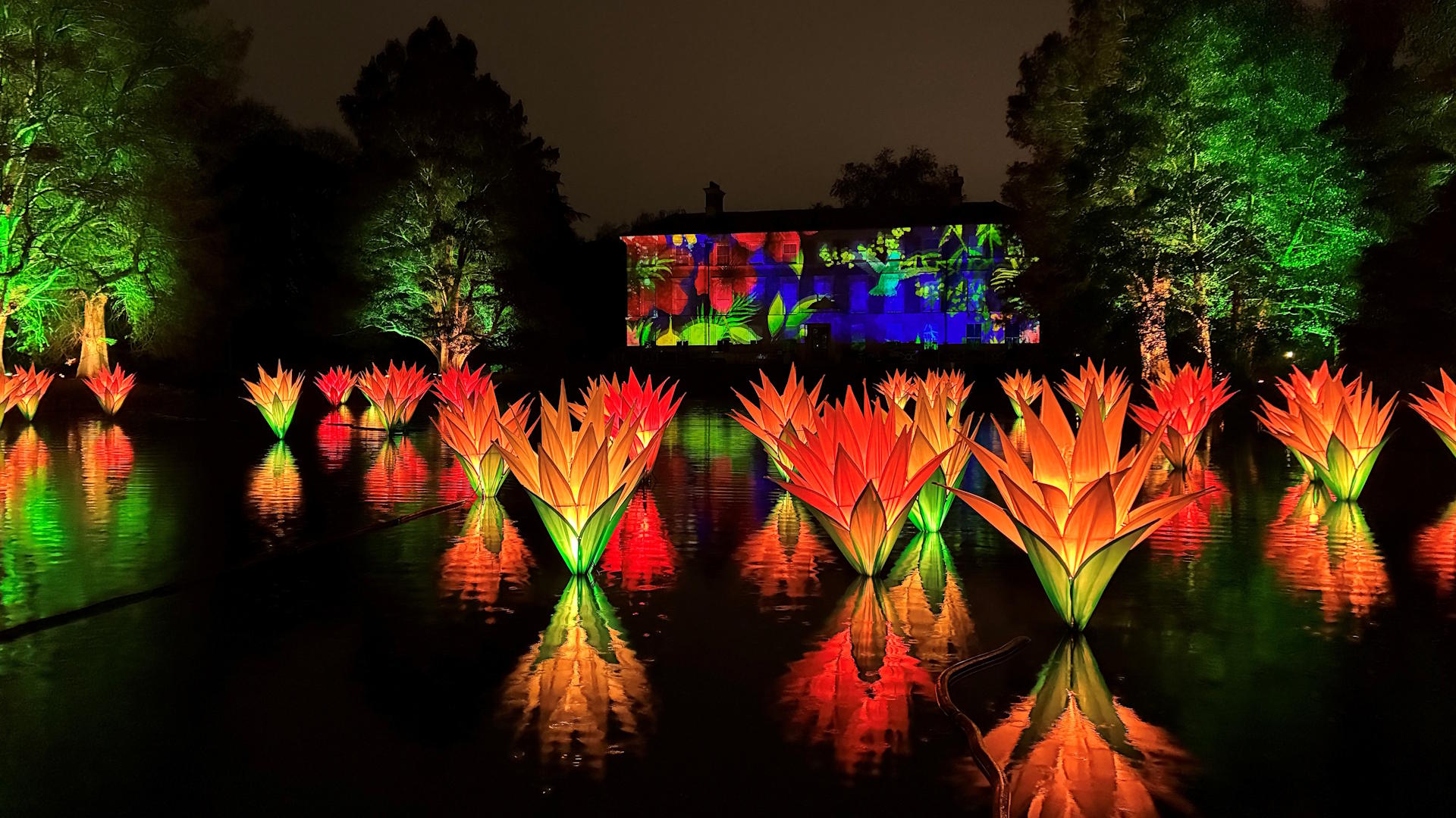 Christmas at Kew 2025 review: What you can expect this year