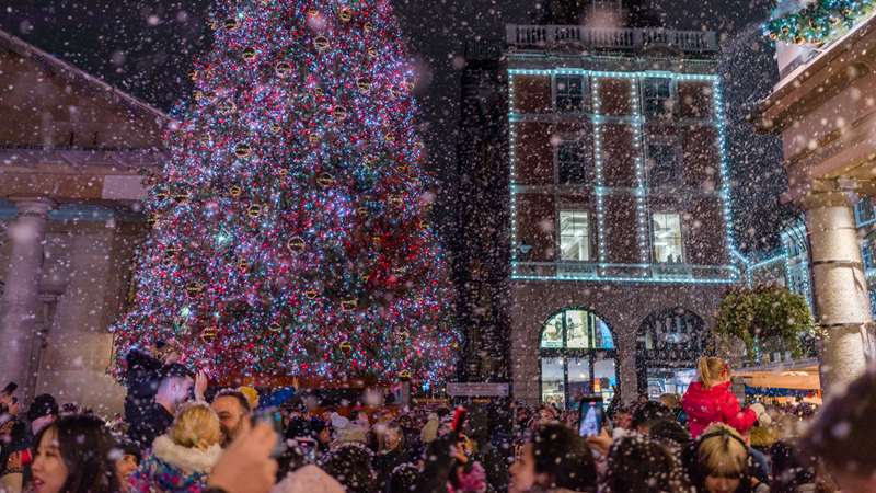 Best Christmas trees in London in 2026