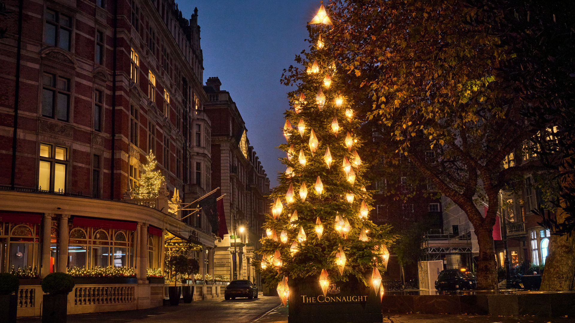 Best Christmas trees in London in 2025