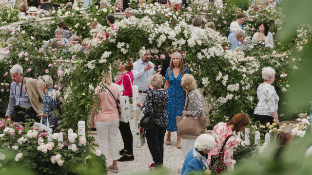 33 things to do in London in May 2025 | London May Events