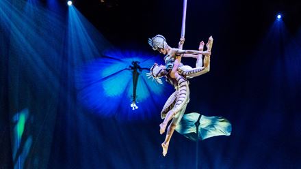 Cirque du Soleil Royal Albert Hall 2026 - buy tickets