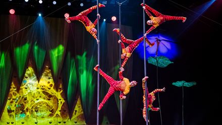 Cirque du Soleil Royal Albert Hall 2026 - buy tickets